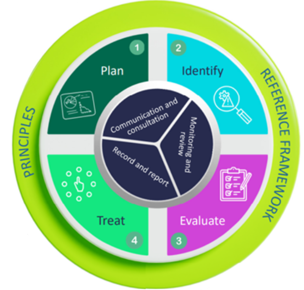 Management and Compliance Risk.