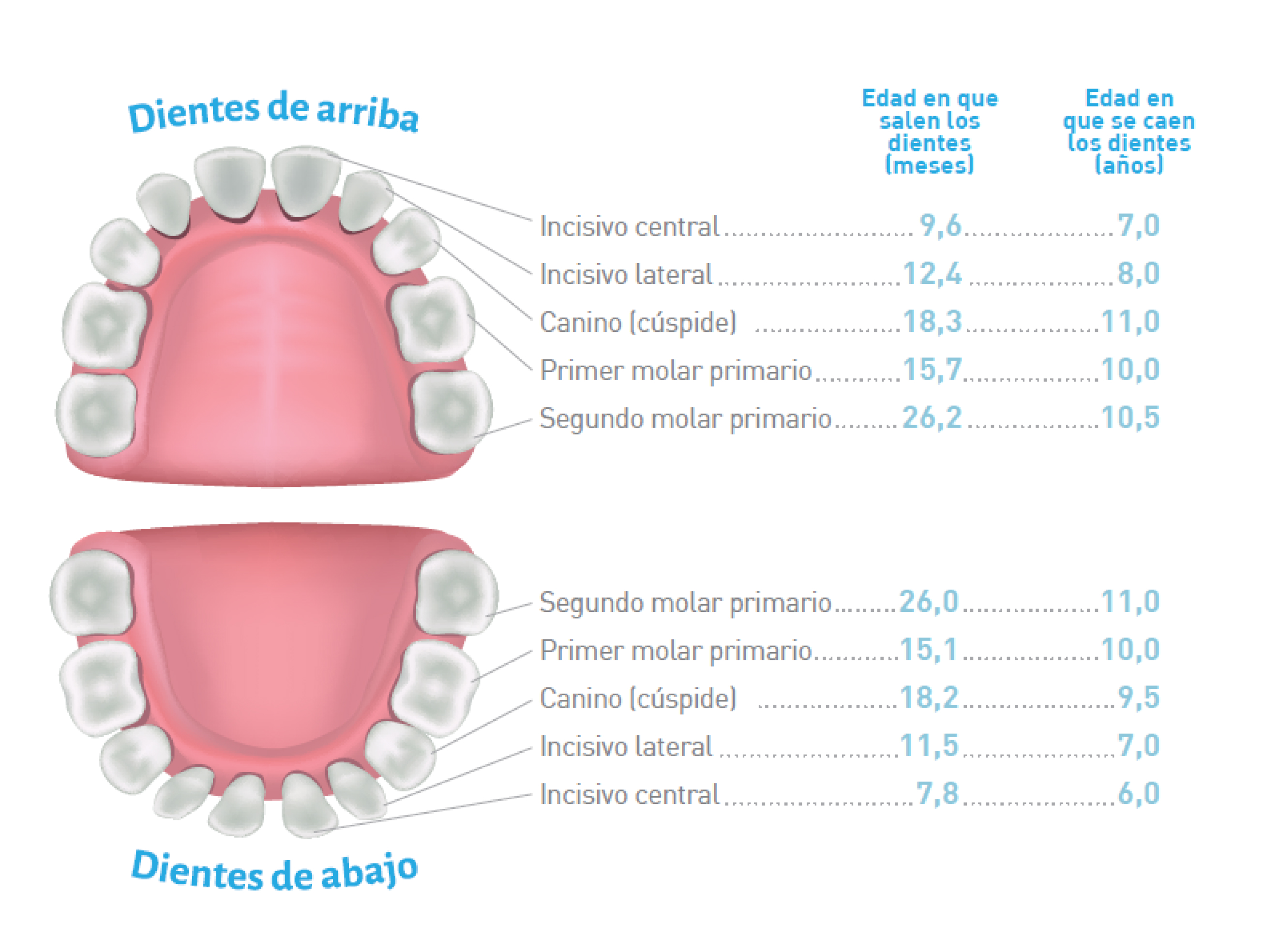 ¿Por qué cuidar un diente de leche si se va a caer?